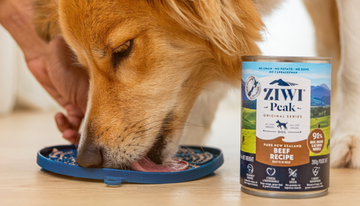 ZIWI US | Shop Natural Pet Food Packed with Superfoods