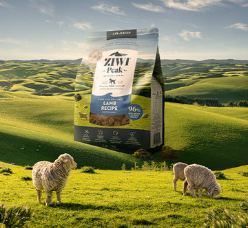 Air-Dried Dog Food Range | ZIWI US
